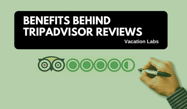 Why Should TripAdvisor Reviews Be Your Top Priority? | Vacation Labs